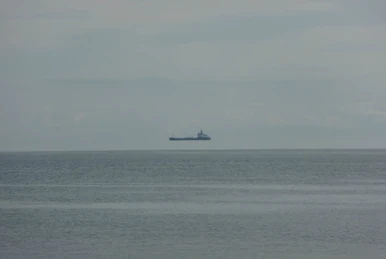 SCP-787 SCP Fanon Wiki Fandom, 53% OFF | www.pinnaxis.com