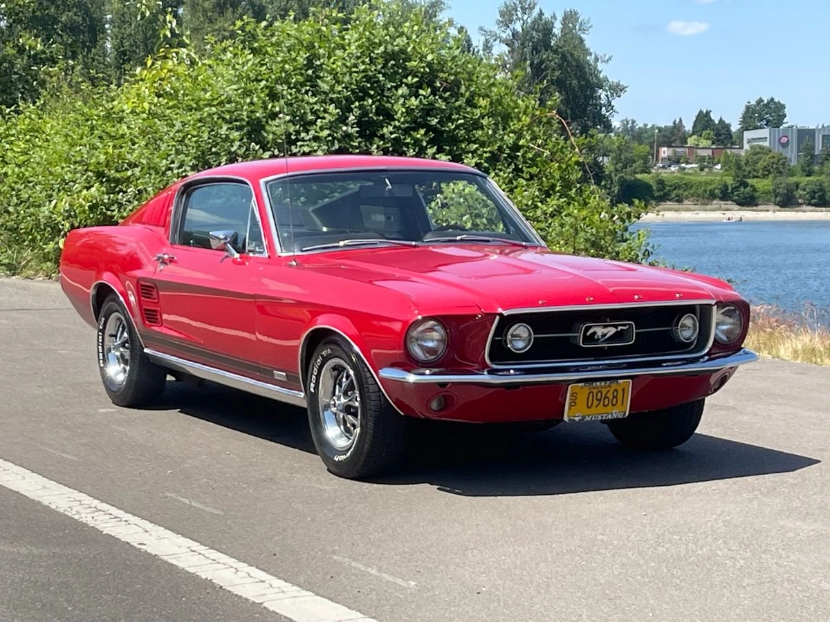 SCP-6531 | SCP Fanon Wiki | Fandom