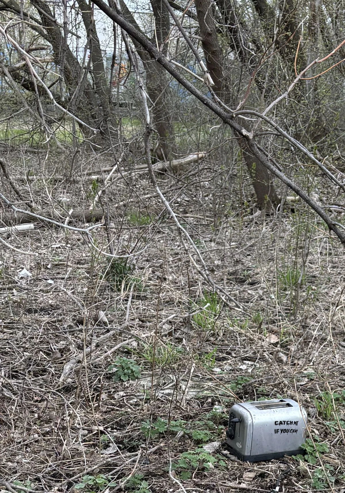 Spiteful Toaster | SCP Fanon Wiki | Fandom