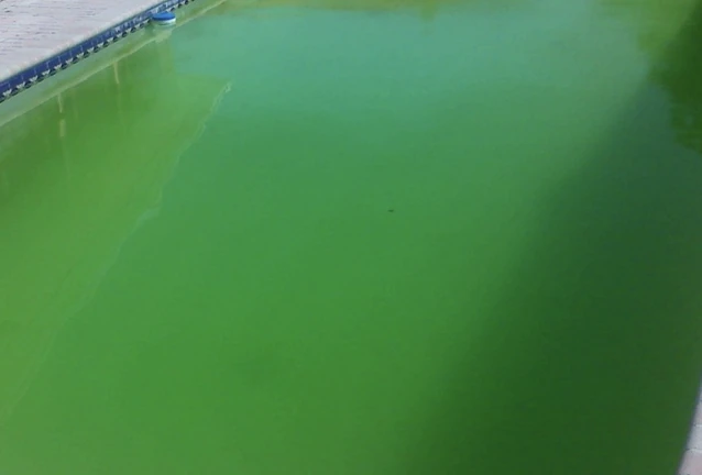 SCP-7006 | SCP Fanon Wiki | Fandom