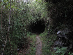 Degraded Light Cave | SCP Fanon Wiki | Fandom