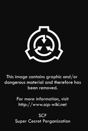 SCP-328 | SCP Fanon Wiki | Fandom