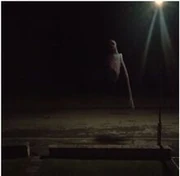 SCP-667 | SCP Fanon Wiki | Fandom