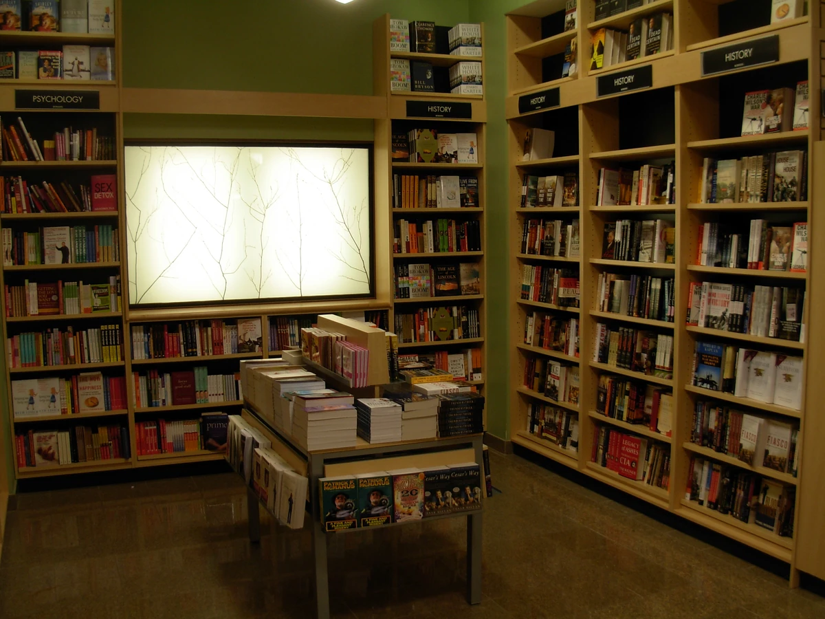 Between the Borders of 2011 | SCP Fanon Wiki | Fandom