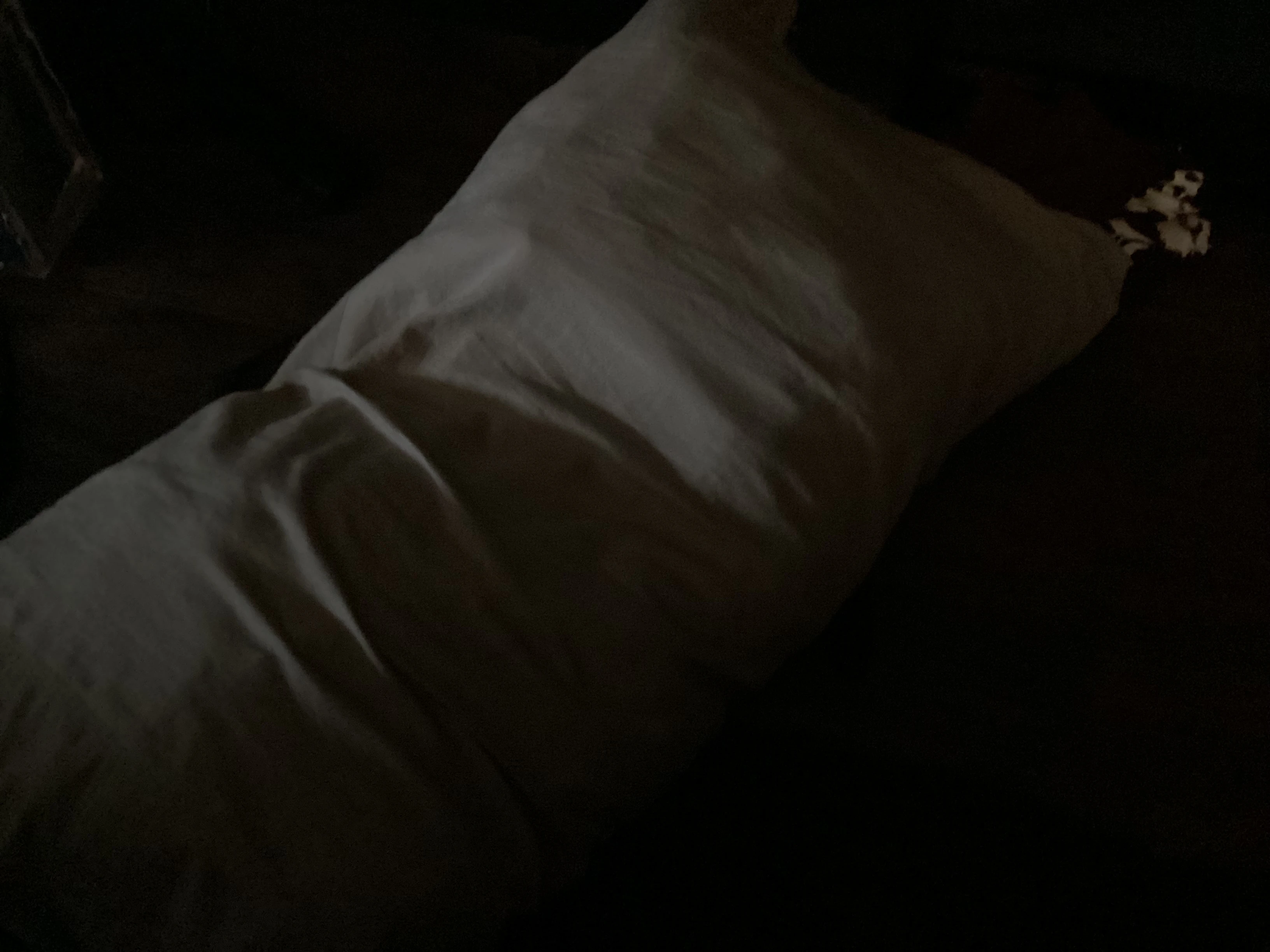 Discuss Everything About SCP Fanon Wiki | Fandom