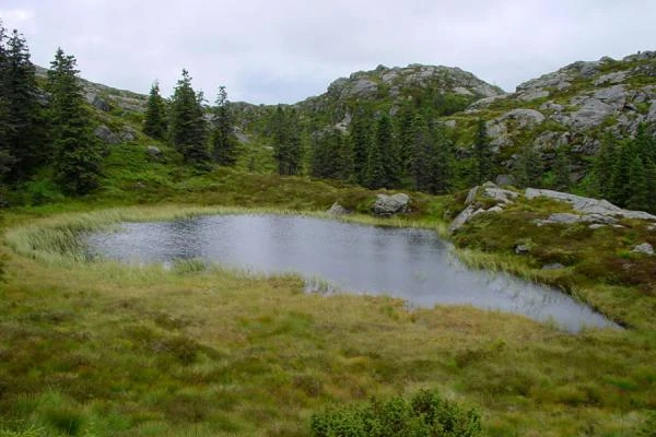 The Lake Of Fire | SCP Fanon Wiki | Fandom