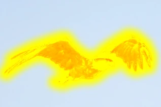 PHOENIX SHOWER | SCP Fanon Wiki | Fandom