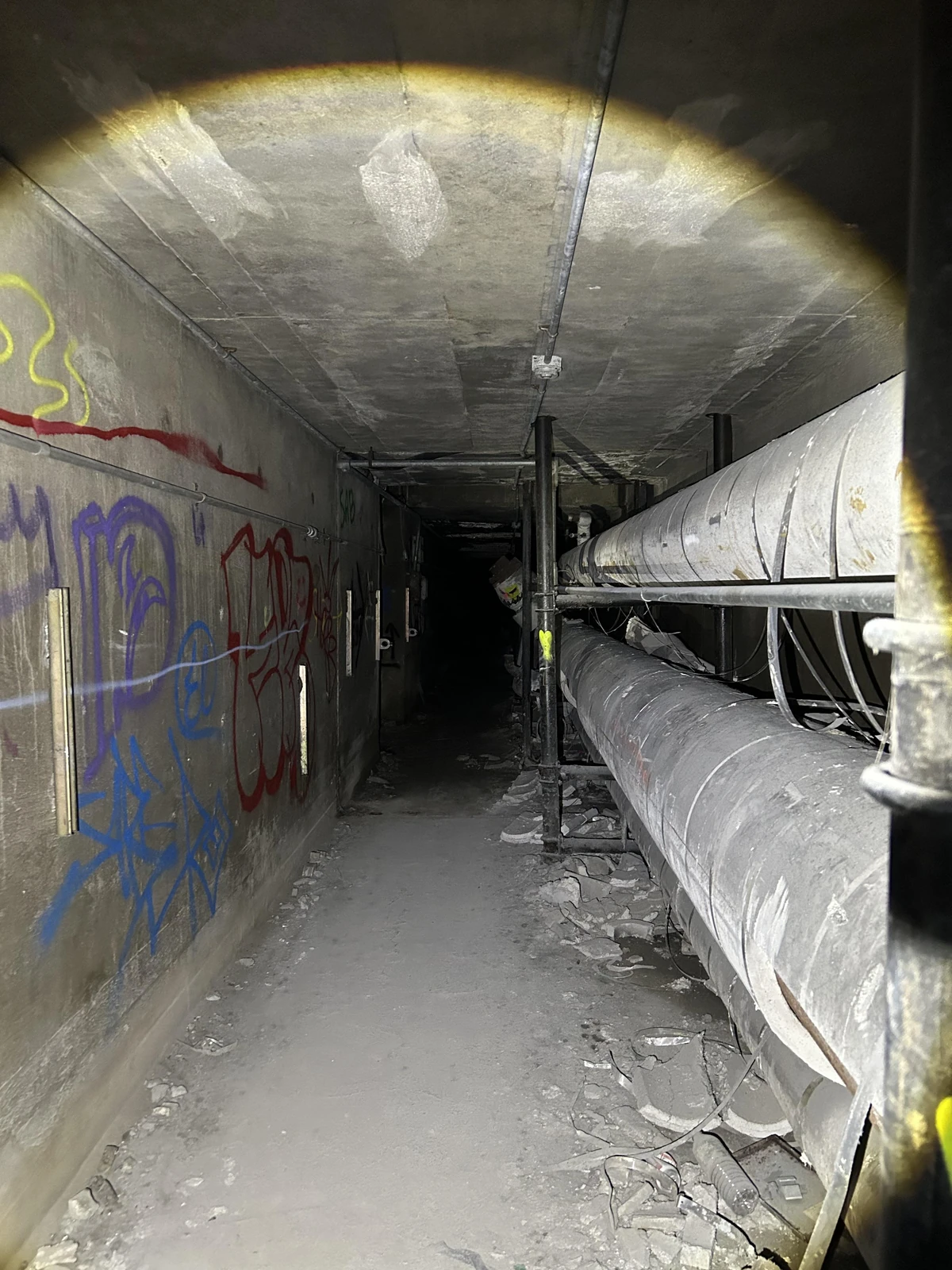 SCP-550 | SCP Fanon Wiki | Fandom