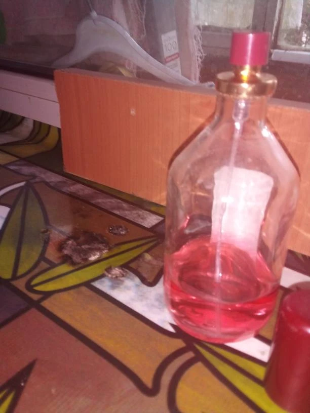 SCP-1069 | SCP Fanon Wiki | Fandom