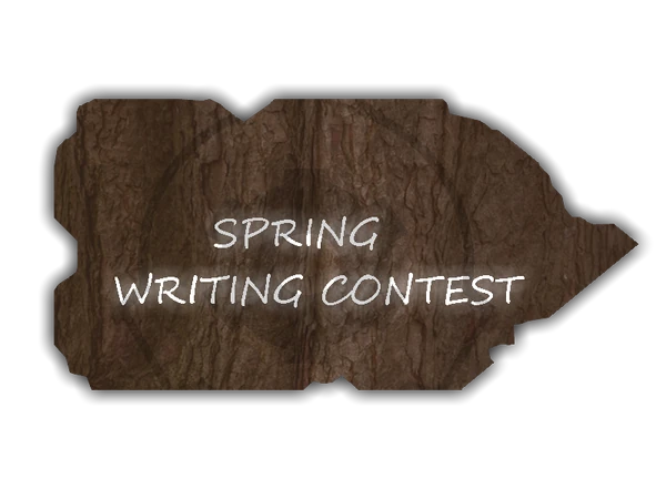 Spring 2024 Tale Contest | SCP Fanon Wiki | Fandom