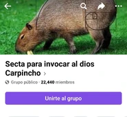 SCP-7089 - "Intelligent Capybaras" | SCP Fanon Wiki | Fandom