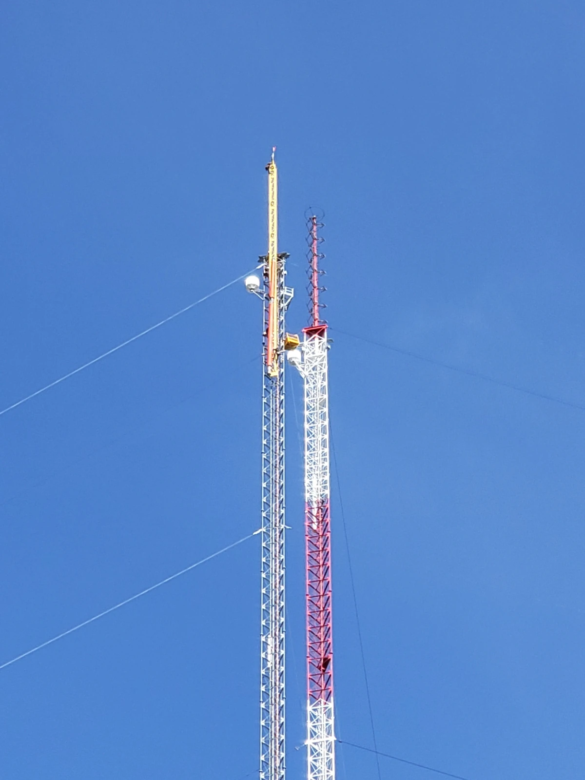 SCP-6371 | SCP Fanon Wiki | Fandom