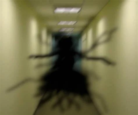 SCP-90215 | SCP Fanon Wiki | Fandom