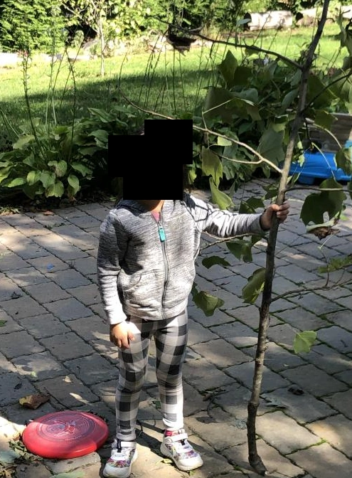 SCP-49780 | SCP Fanon Wiki | Fandom