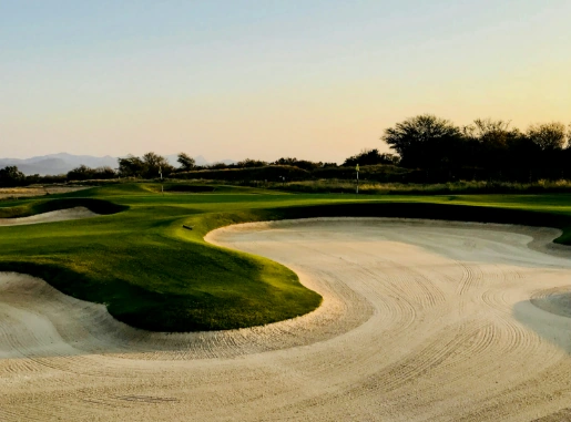 SCP-9808 | SCP Fanon Wiki | Fandom