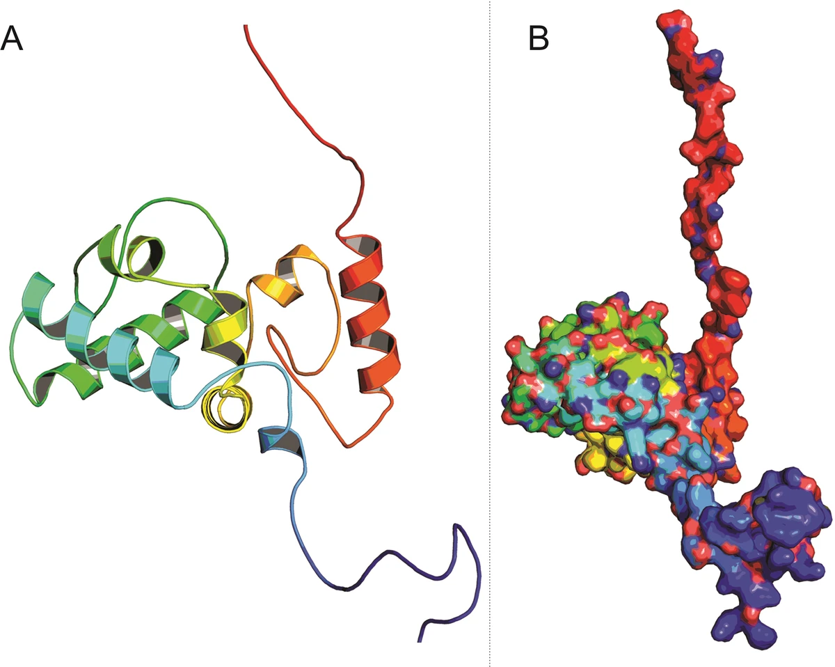 SCP-217 (Site-1029 Revision) | SCP Fanon Wiki | Fandom