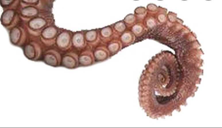 SCP-49203 | SCP Fanon Wiki | Fandom