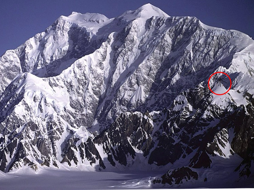 Tentacles Entity of Mountain | SCP Fanon Wiki | Fandom