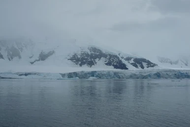 SCP-787 SCP Fanon Wiki Fandom, 53% OFF | www.pinnaxis.com