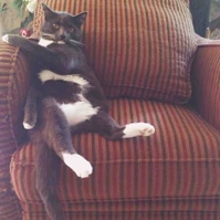 John | SCP Fanon Wiki | Fandom