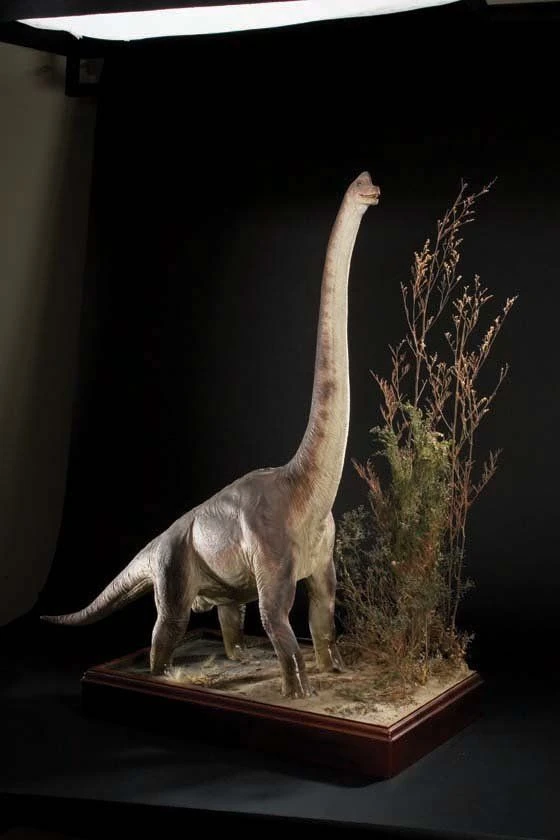 SCP-1123-FNN | SCP Fanon Wiki | Fandom