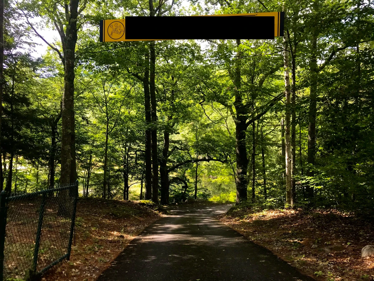 The Summer Camp Massacre | SCP Fanon Wiki | Fandom