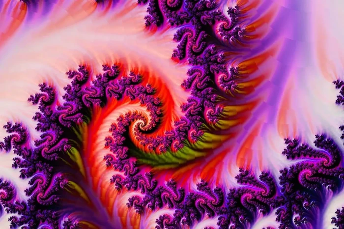 SCP-407555 | SCP Fanon Wiki | Fandom