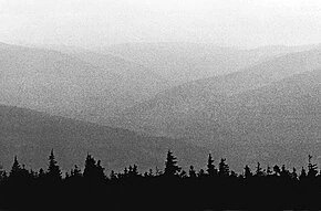 SCP-6966 | SCP Fanon Wiki | Fandom