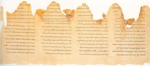 SCP-1259 | SCP FOUND вики | Fandom