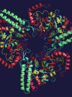 SCP-008 | SCP Foundation Branch Wiki | Fandom