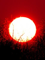 Category:Minecraft Skins | SCP Foundation Branch Wiki | Fandom