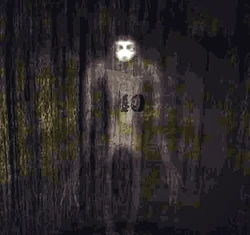 SCP-087 | SCP Games вики | Fandom