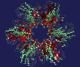 SCP-008 | SCP Wiki | Fandom