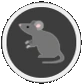 Mice | SCP: The Red Lake Wiki | Fandom