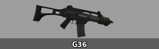 G36 | SCP: The Red Lake Wiki | Fandom