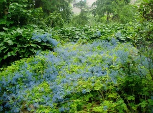 SCP-046 | Wiki La Fundación SCP | Fandom