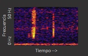 SCP-169 | Wiki La Fundación SCP | Fandom