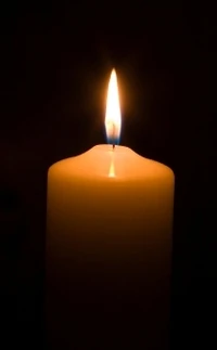 SCP-310 | Wiki La Fundación SCP | Fandom