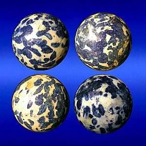 SCP-627 | Wiki La Fundación SCP | Fandom