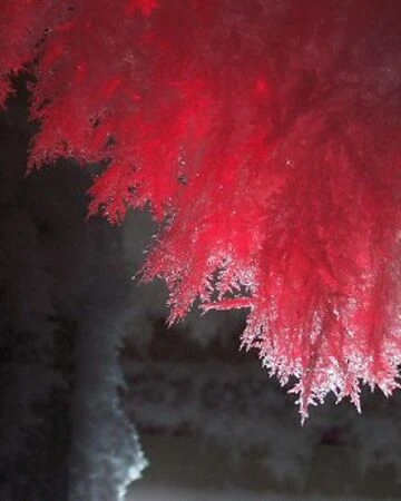 SCP-009 | SCP Foundation Wikia | Fandom