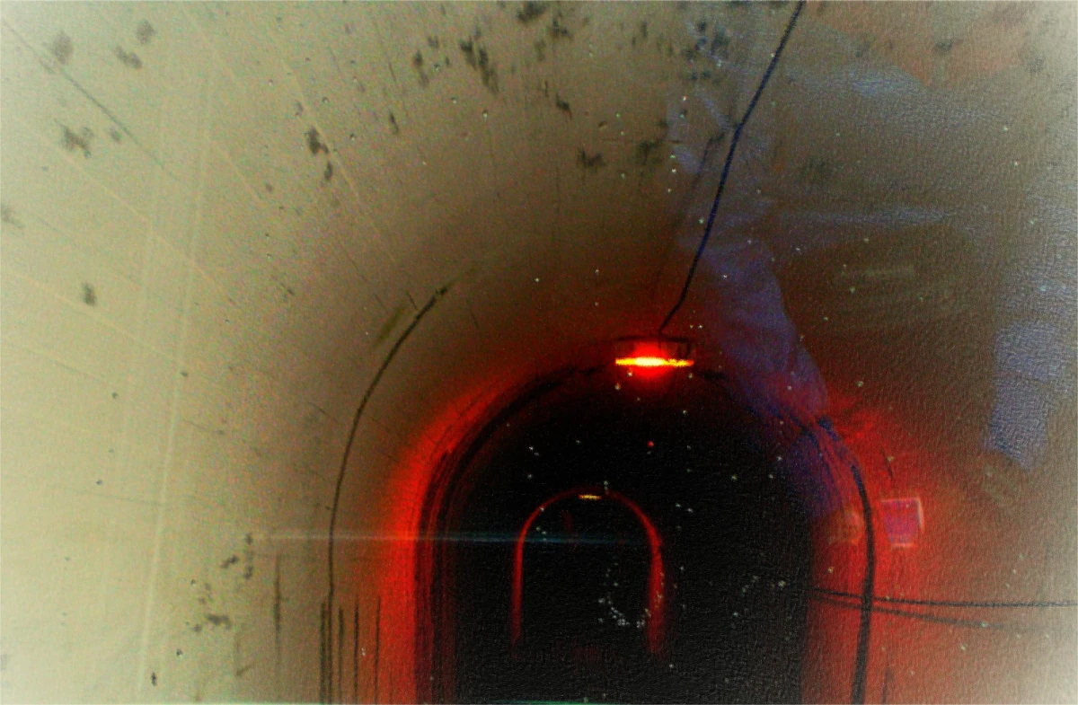 SCP-2786 | Wiki La Fundación SCP | Fandom