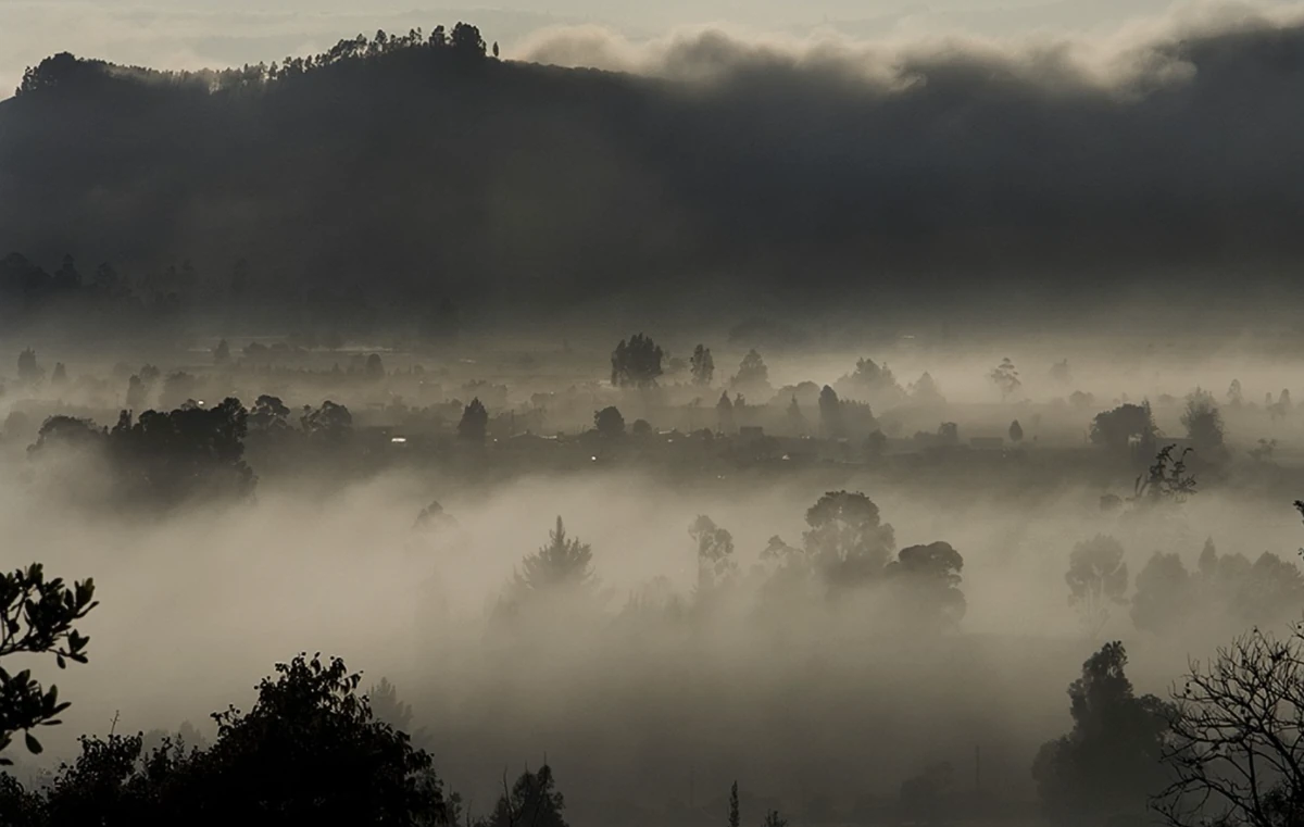 Scp 7046 | Wiki La Fundación SCP | Fandom