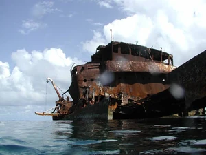 SCP-455 | Wiki La Fundación SCP | Fandom