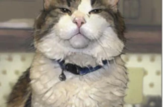 SCP-2070 | Wiki La Fundación SCP | Fandom