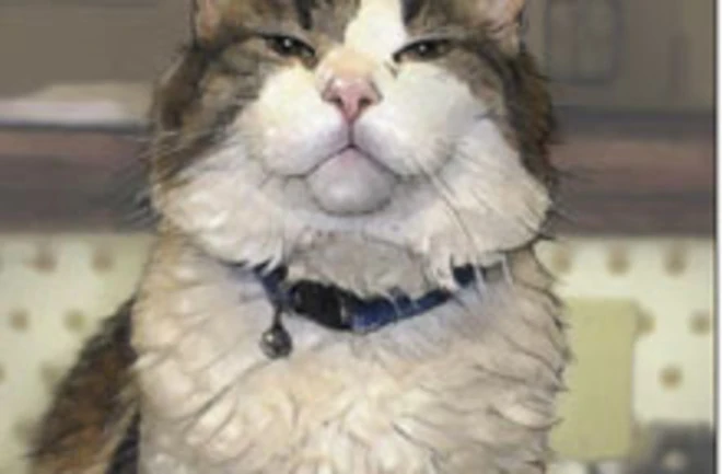 SCP-2070 | Wiki La Fundación SCP | Fandom