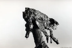 SCP-505 | Wiki La Fundación SCP | Fandom
