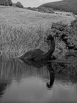 SCP-3934 | Wiki La Fundación SCP | Fandom