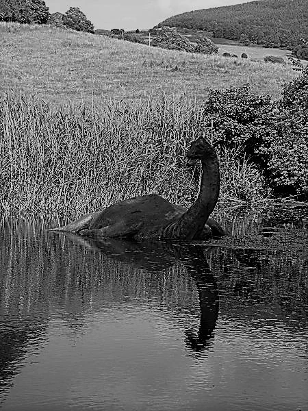 SCP-3934 | Wiki La Fundación SCP | Fandom