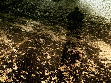 SCP-2786 | Wiki La Fundación SCP | Fandom