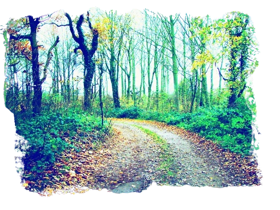 Dr Mann's Proposal | SCP Foundation Wikia | Fandom